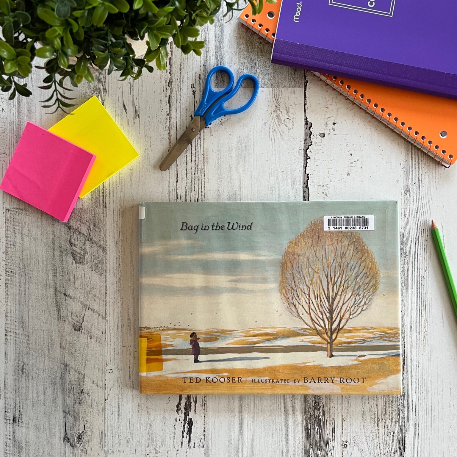 Recycling Books for Kids – The Colorful Apple