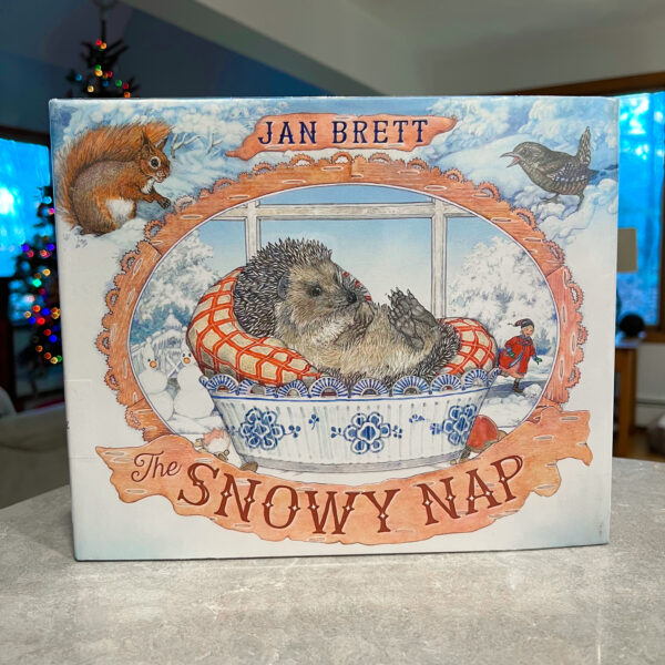 Hibernation Picture Books