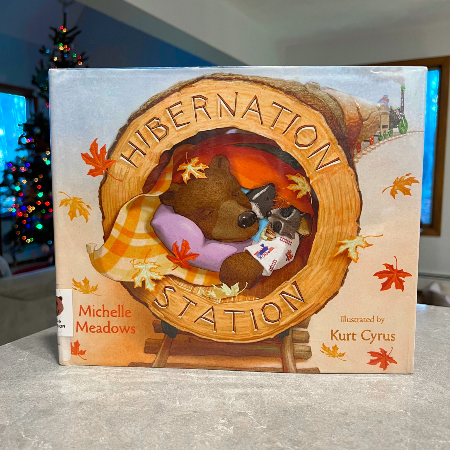 Hibernation Picture Books