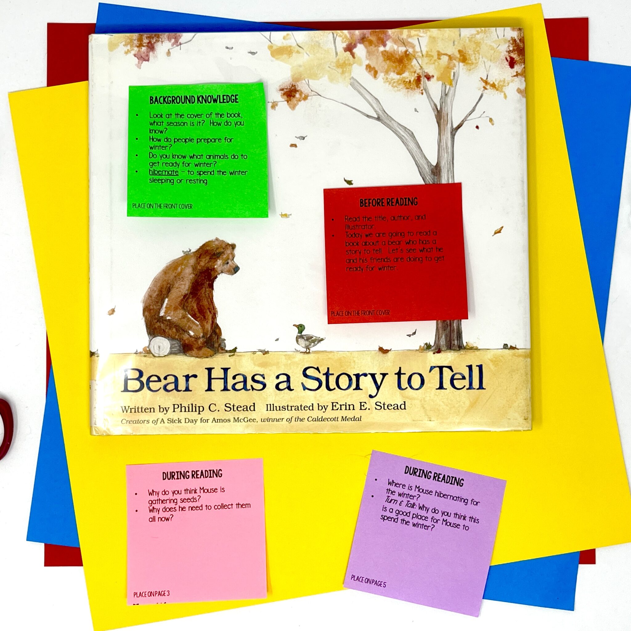 Hibernation Picture Books