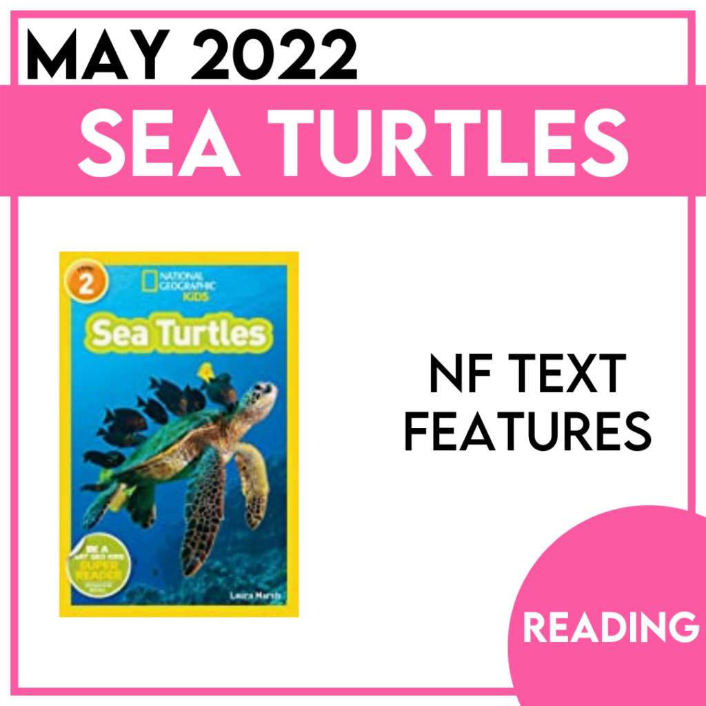 Sea Turtles - The Colorful Apple