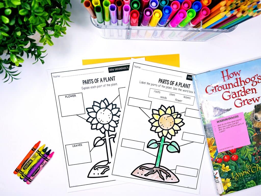 Colorful Apple Book Club - The Colorful Apple
